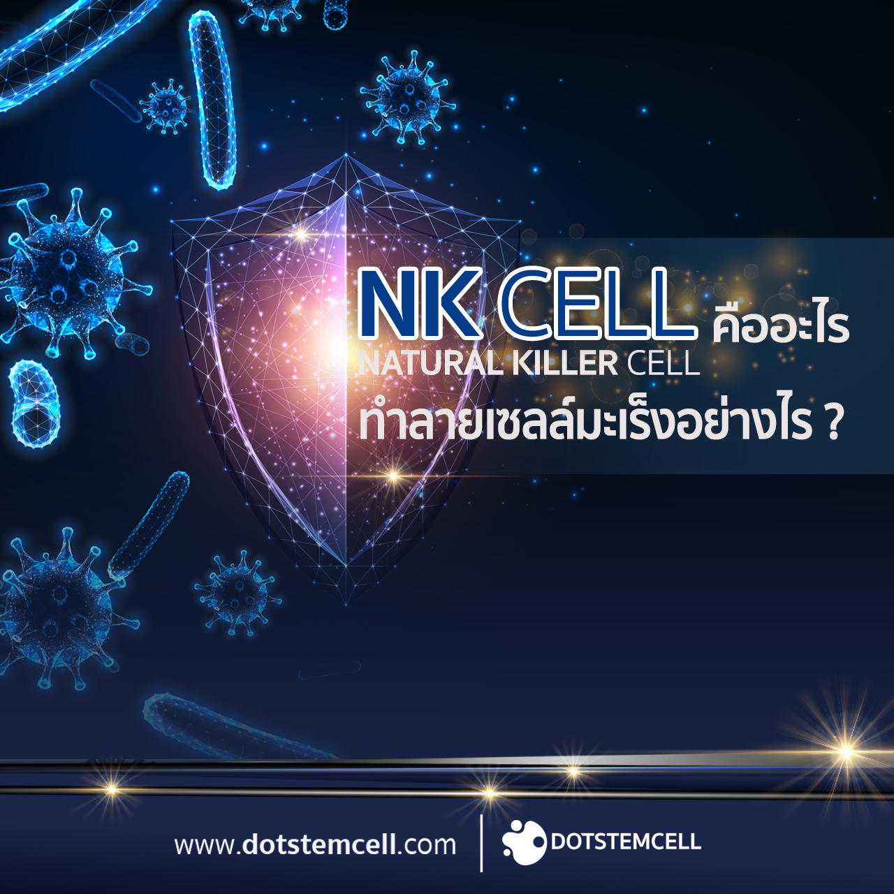 NK CELL คืออะไร? - DOT STEMCELL